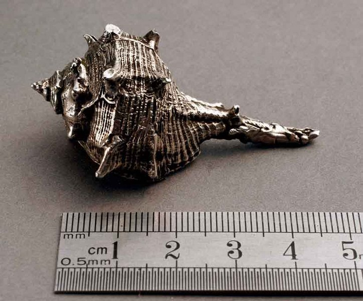 Leopard Antiques Cast Silver Shell